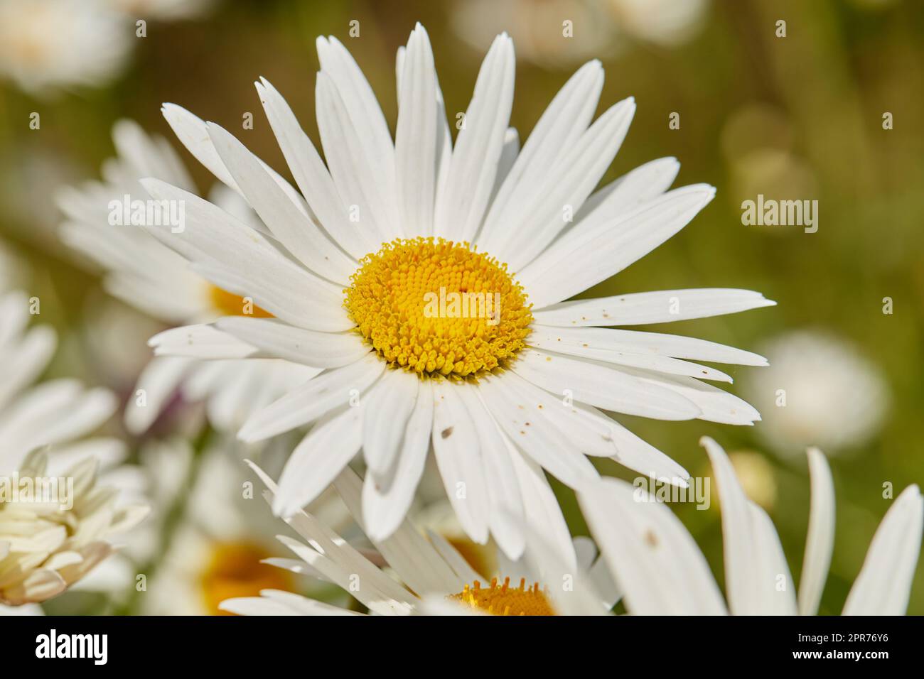 One zoom hi-res stock photography and images - Alamy