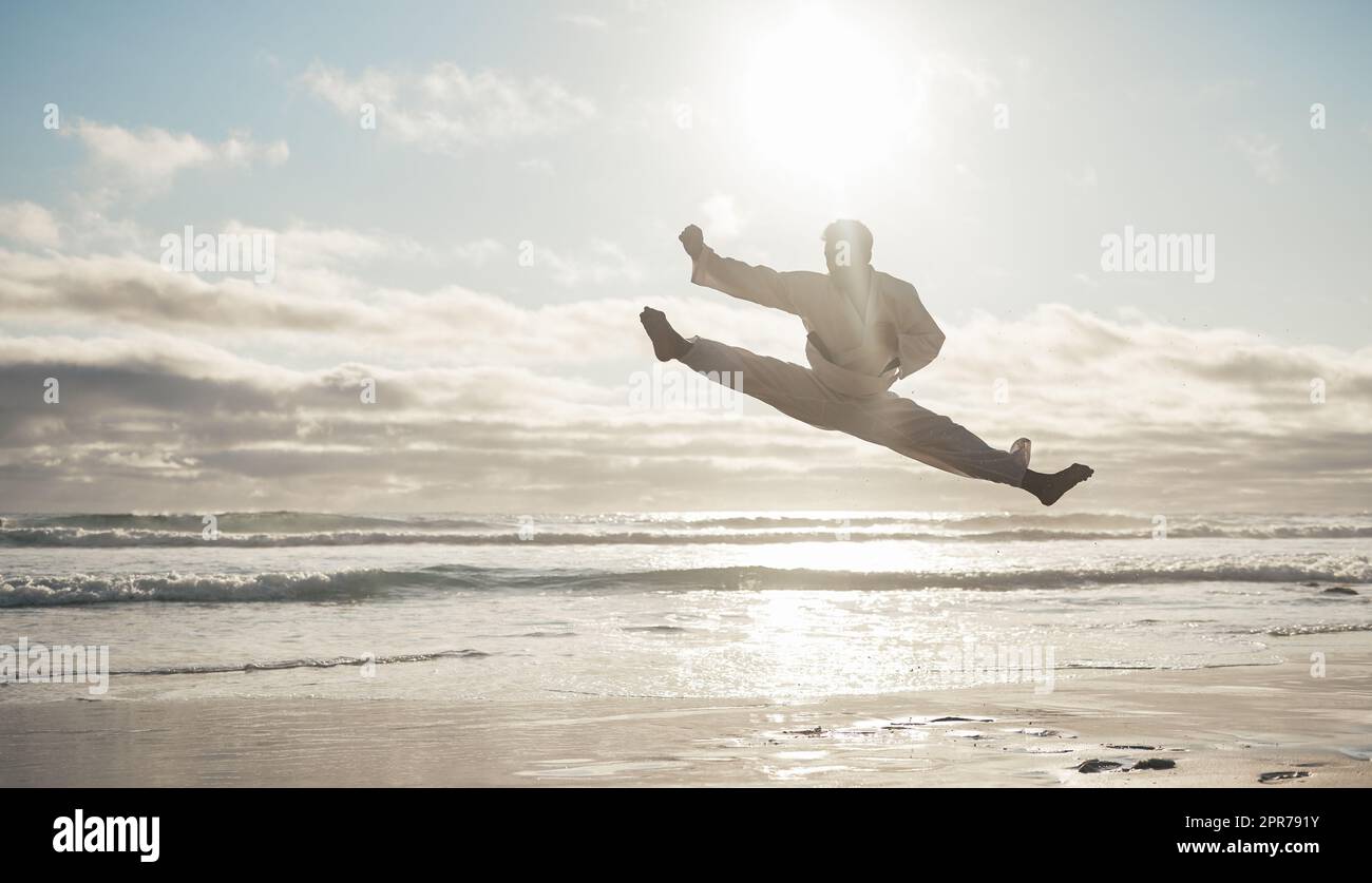 Power and precision. Full length shot of a handsome young male martial ...