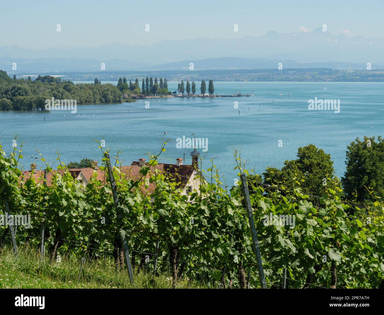 at the lake constance in germany Stock Photo - Alamy