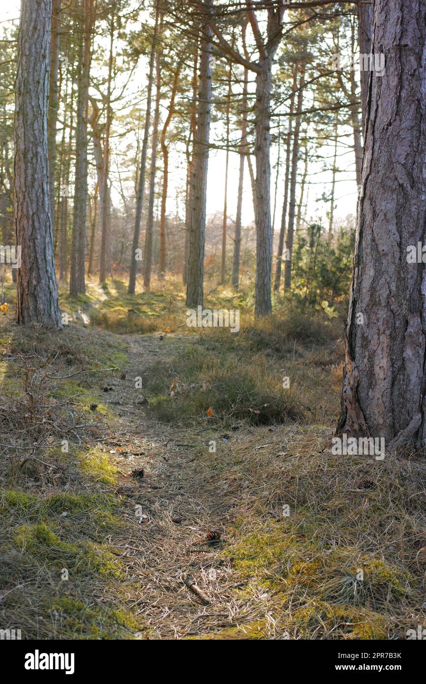 Peace garden peaceful hi-res stock photography and images - Alamy