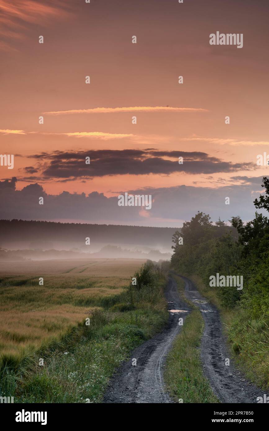 Country Farm Landscapes At Sunset