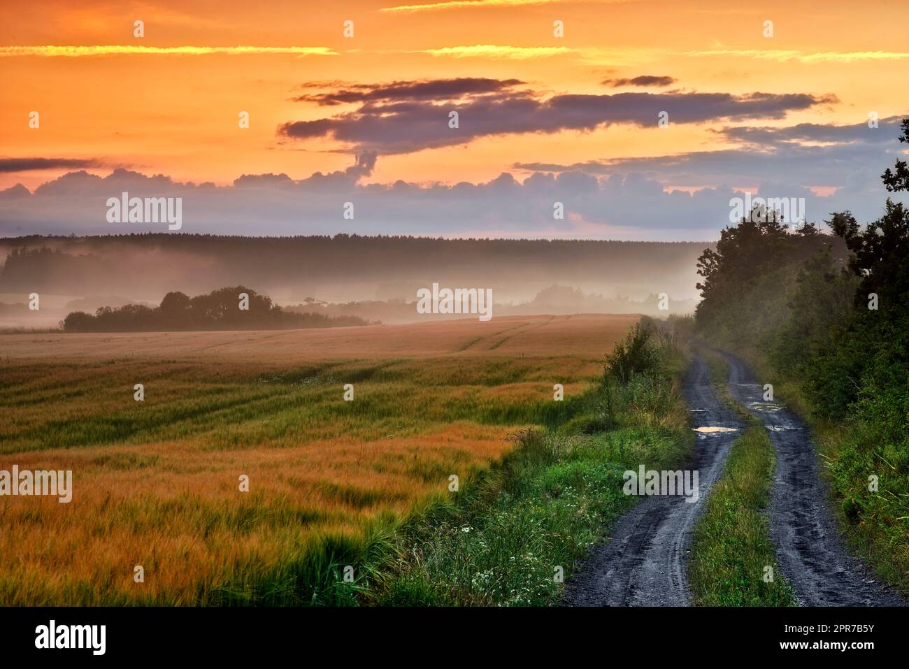 Isolated farm meadows hi-res stock photography and images - Alamy