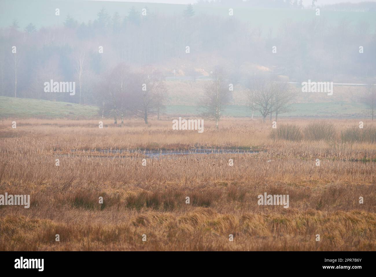 Dry season view hi-res stock photography and images - Alamy