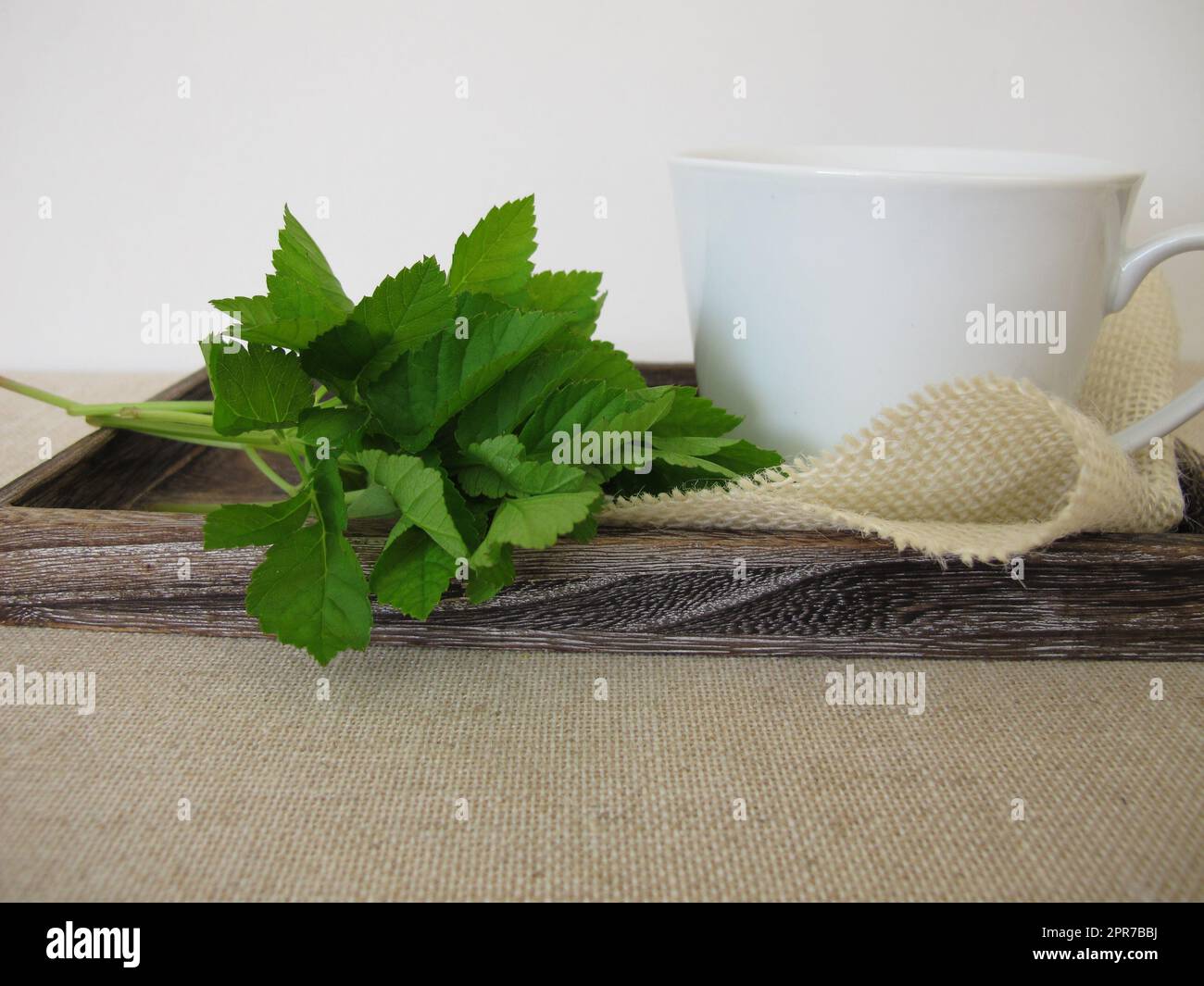 A cup of herbal tea with goutweed herbs Stock Photo - Alamy