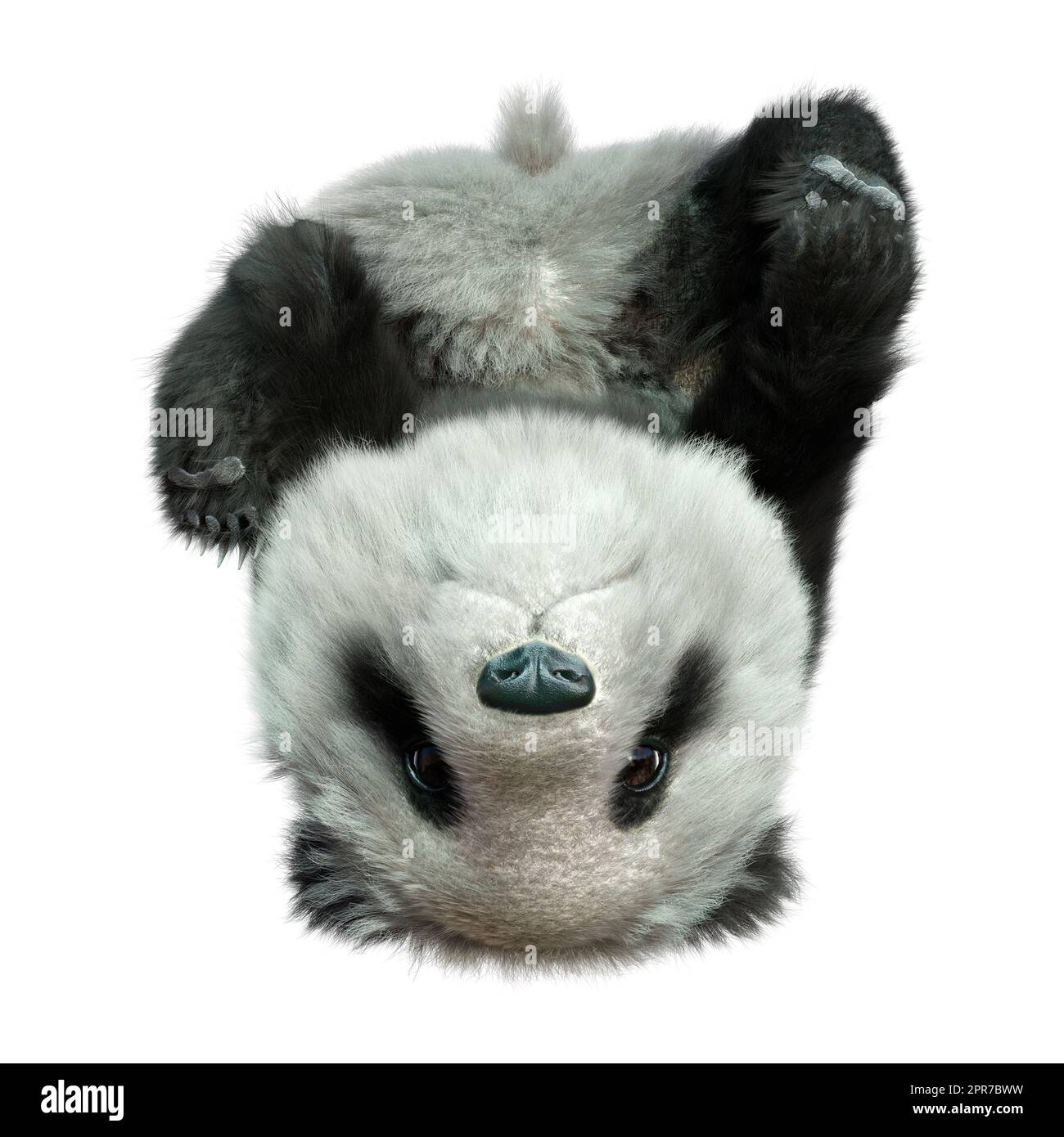 3D rendering of a panda bear isolated on white background Stock Photo ...