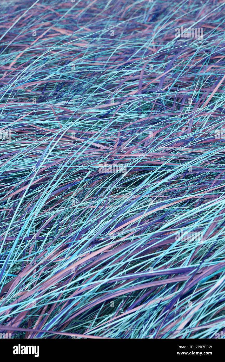 See ultraviolet colors hi-res stock photography and images - Alamy