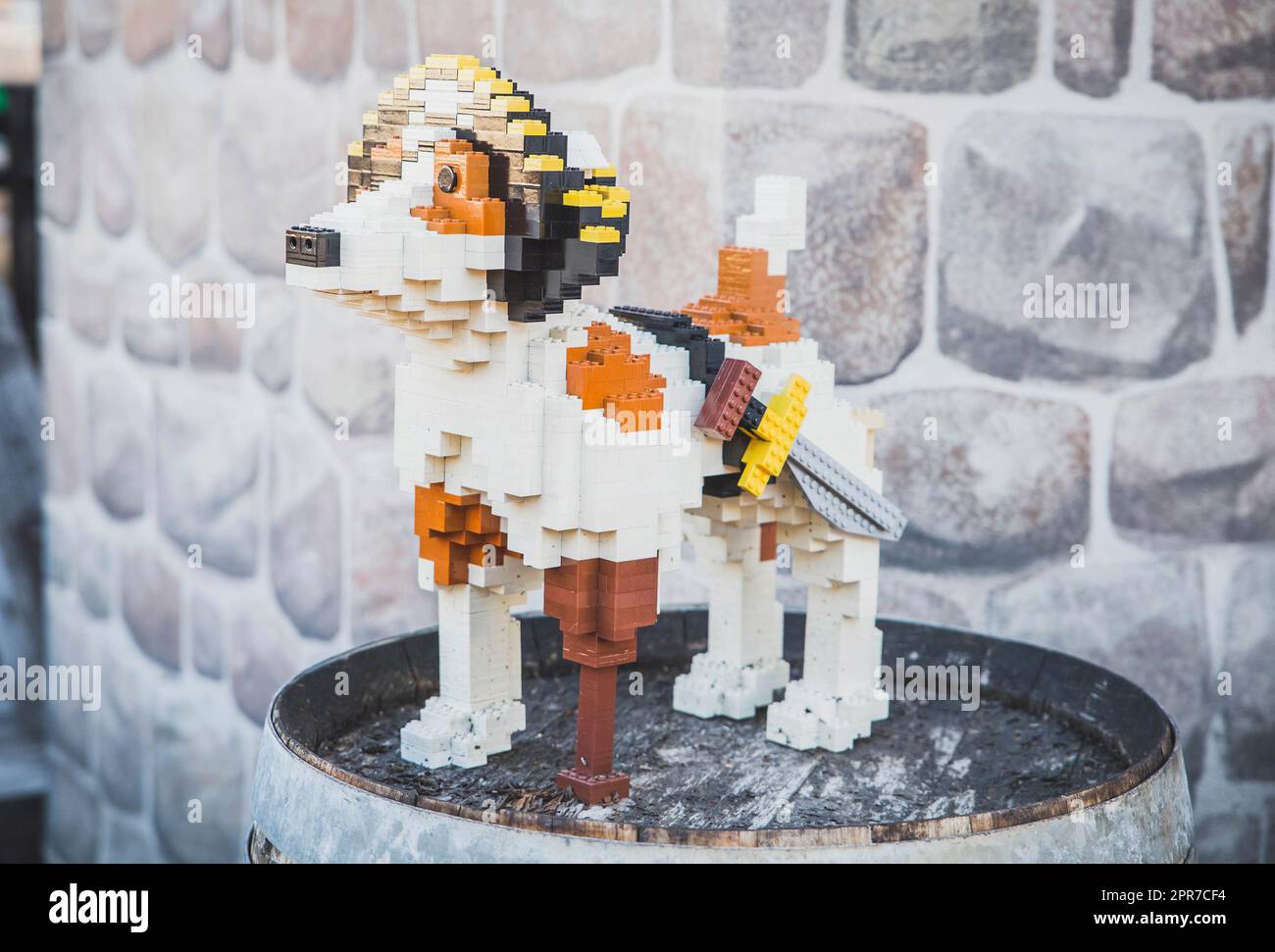 pirate dog with sword and prosthesis made from constructor Stock Photo ...