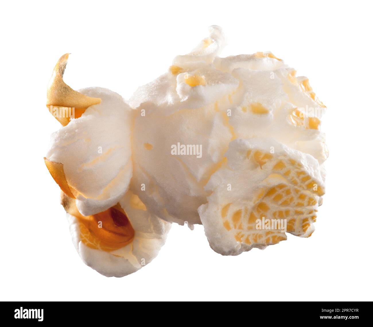 Single Popcorn Kernel