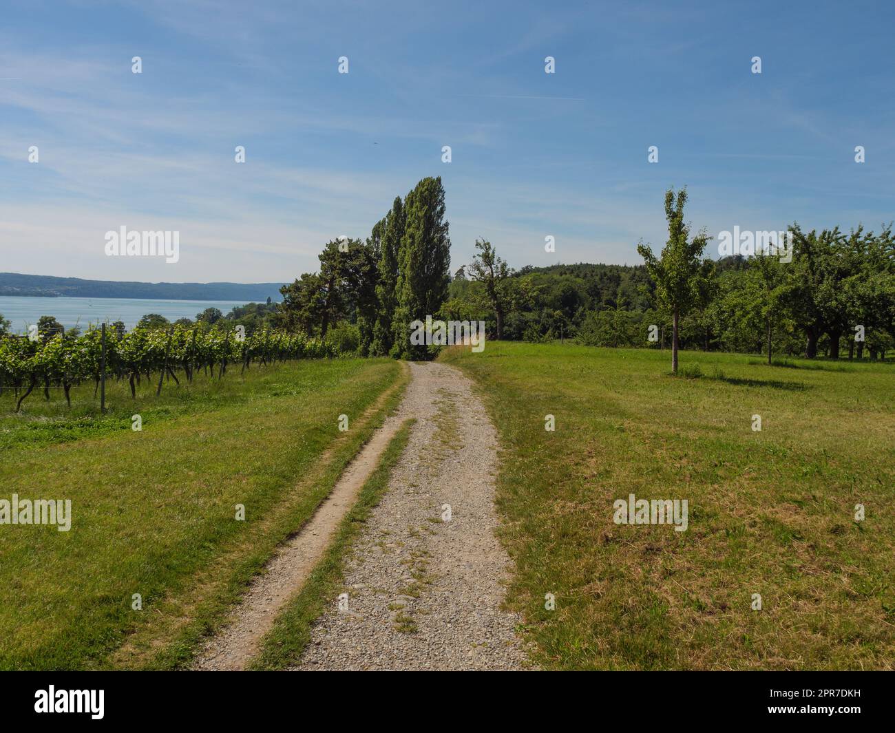 at the lake constance in germany Stock Photo - Alamy