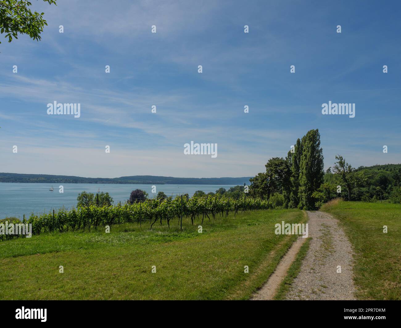 at the lake constance in germany Stock Photo - Alamy