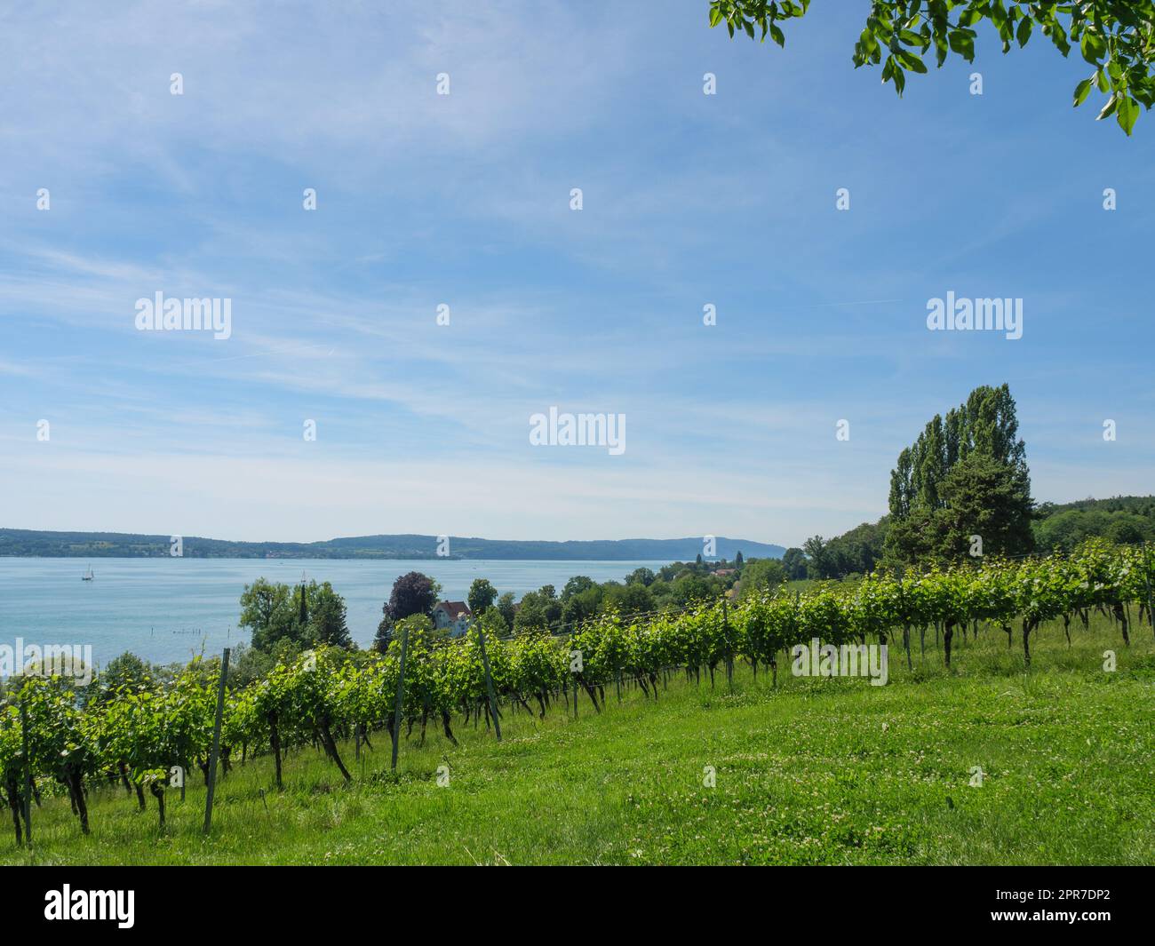 at the lake constance in germany Stock Photo - Alamy