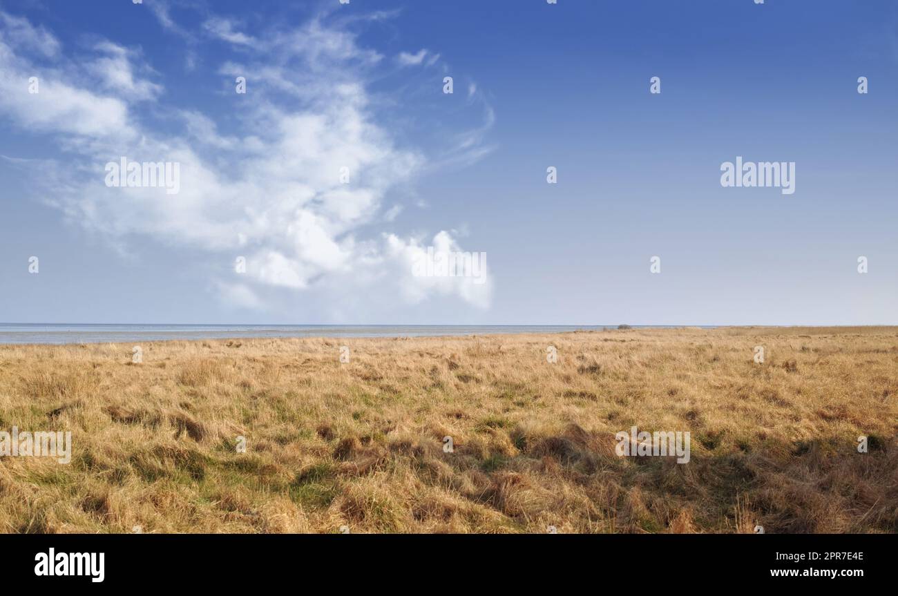 Landscape of a dry open field by the sea in the East coast of Kattegat ...