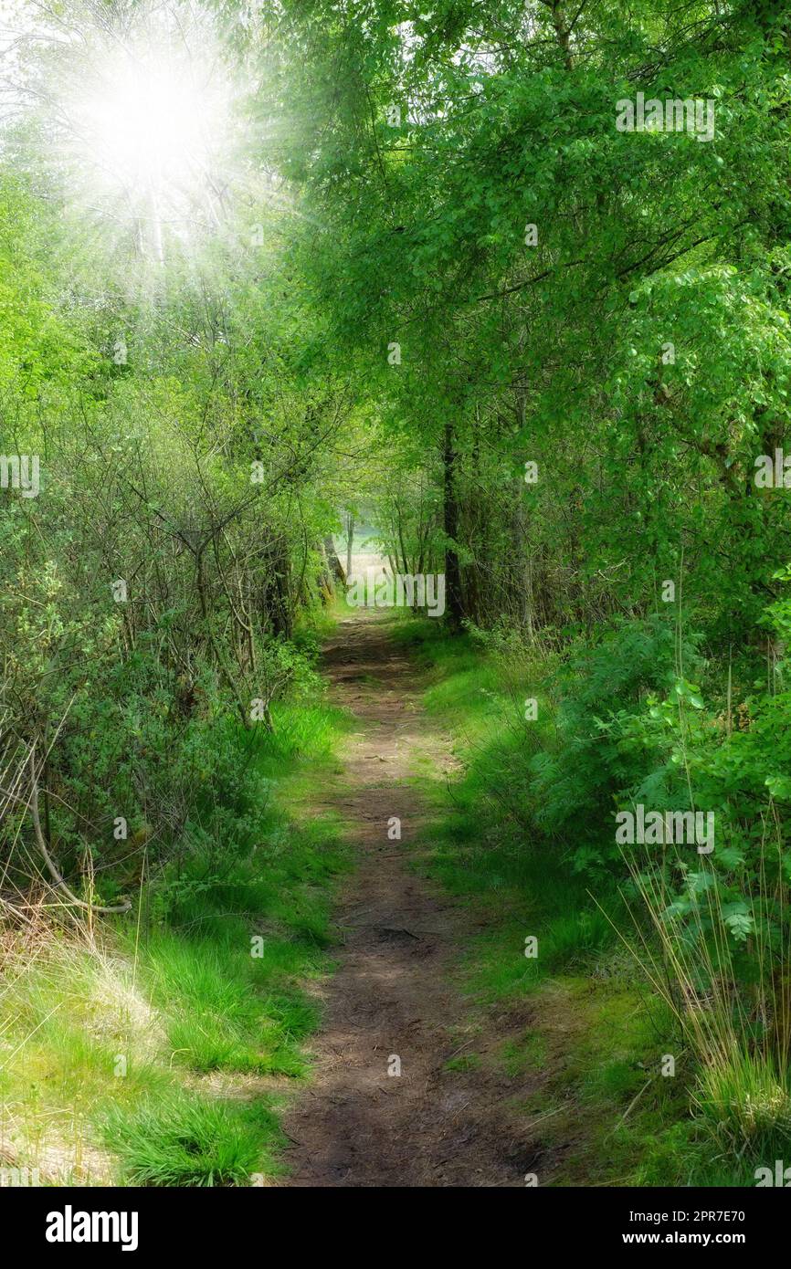 Fairy tale path hi-res stock photography and images - Alamy