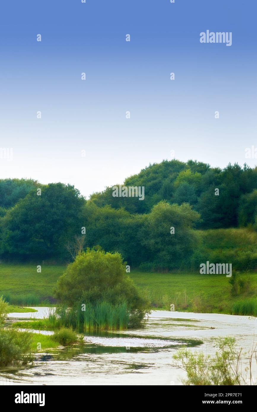 The landscape around the pond hi-res stock photography and images - Alamy