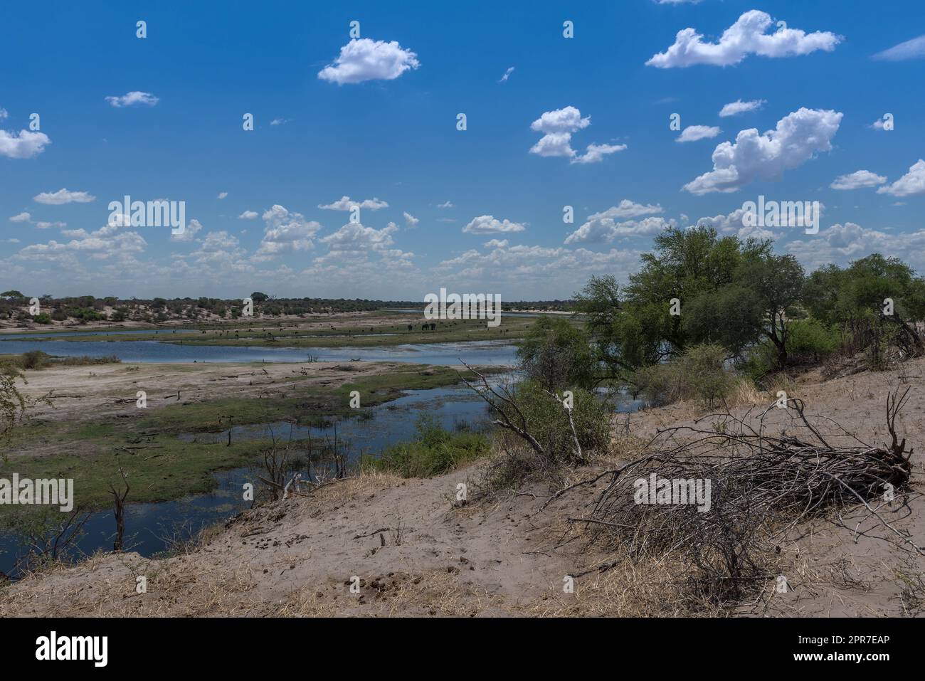 the Boteti river at low tide in summer, Botswana Stock Photo - Alamy