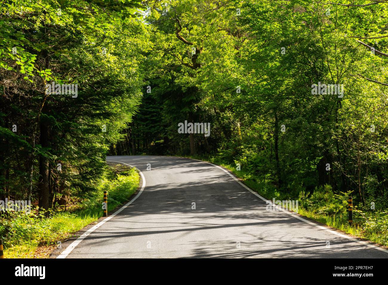 Spring landscape with road Stock Photo - Alamy