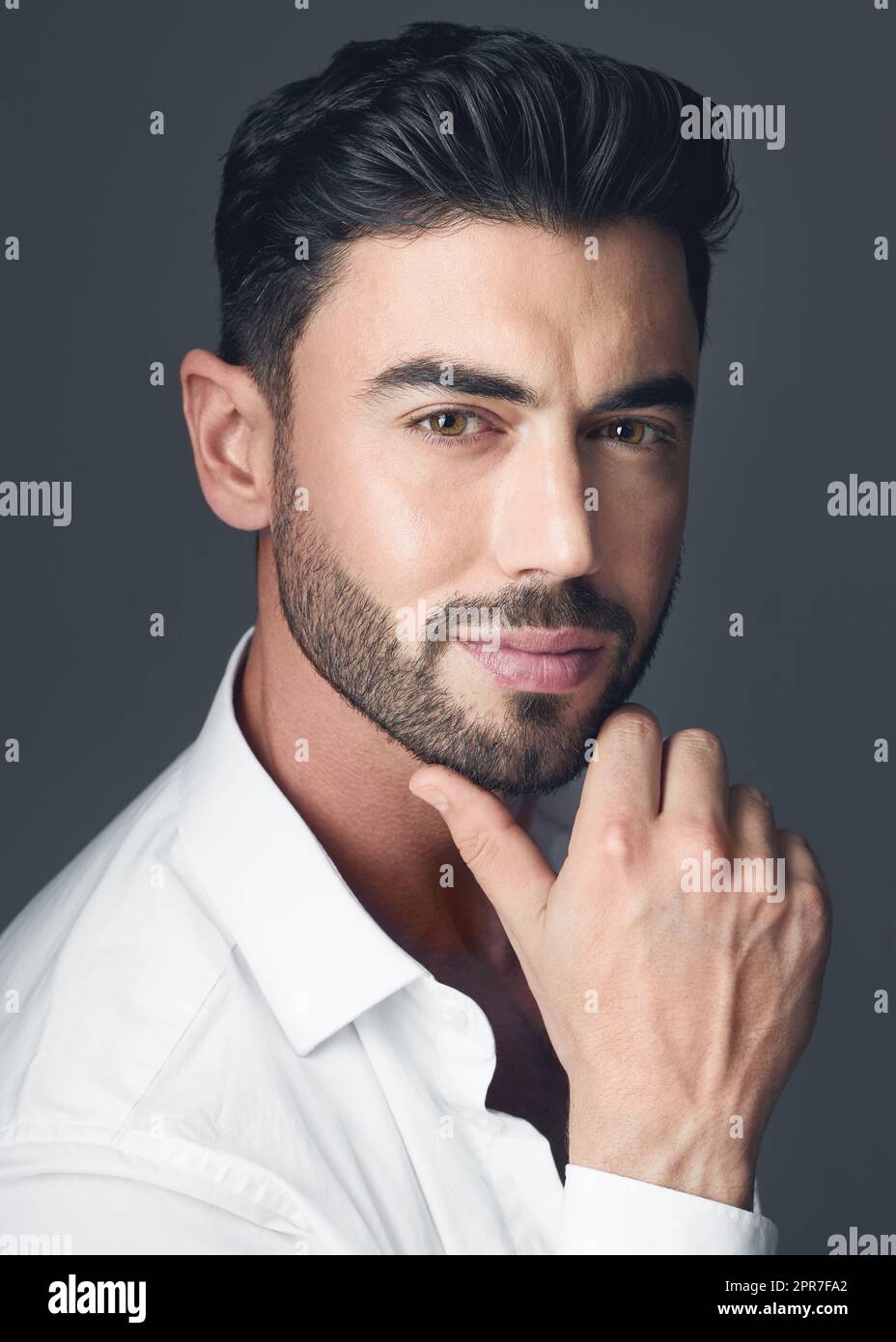 The perfect professional profile picture. Studio shot of a handsome ...