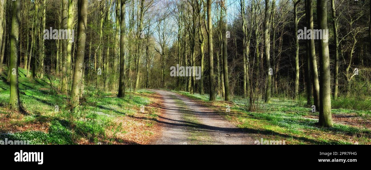 Tall plant features hi-res stock photography and images - Alamy