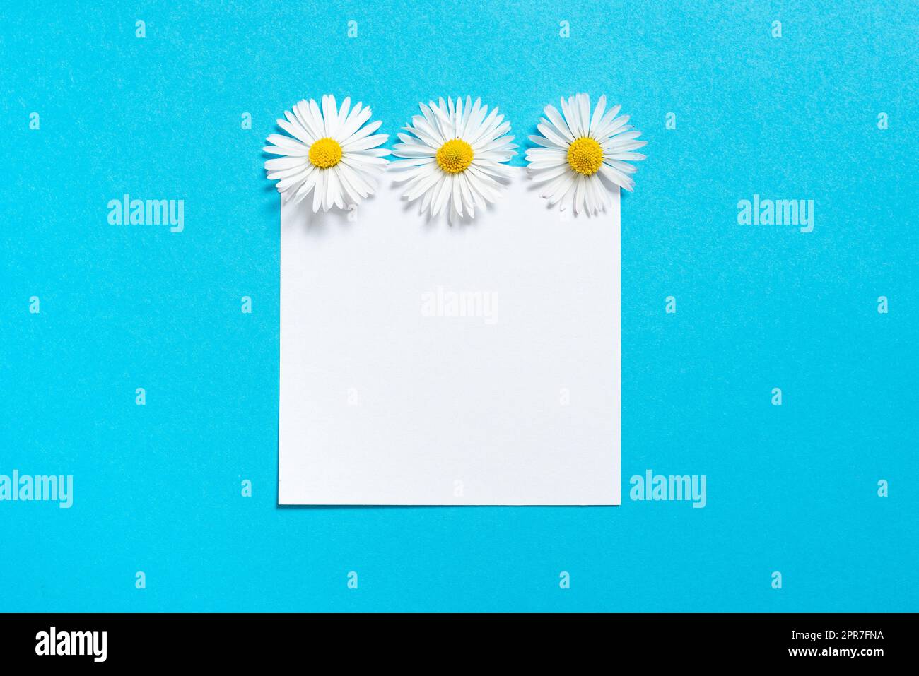 Sticky Note With Important Messages With Three Flowers Above. Memo With ...