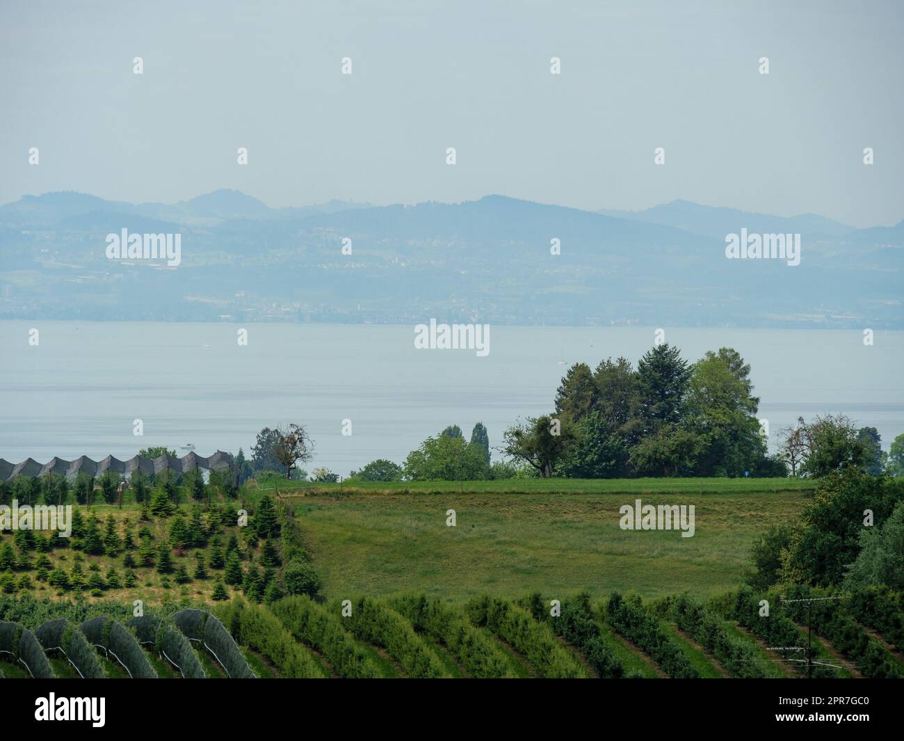 at the lake constance in germany Stock Photo - Alamy