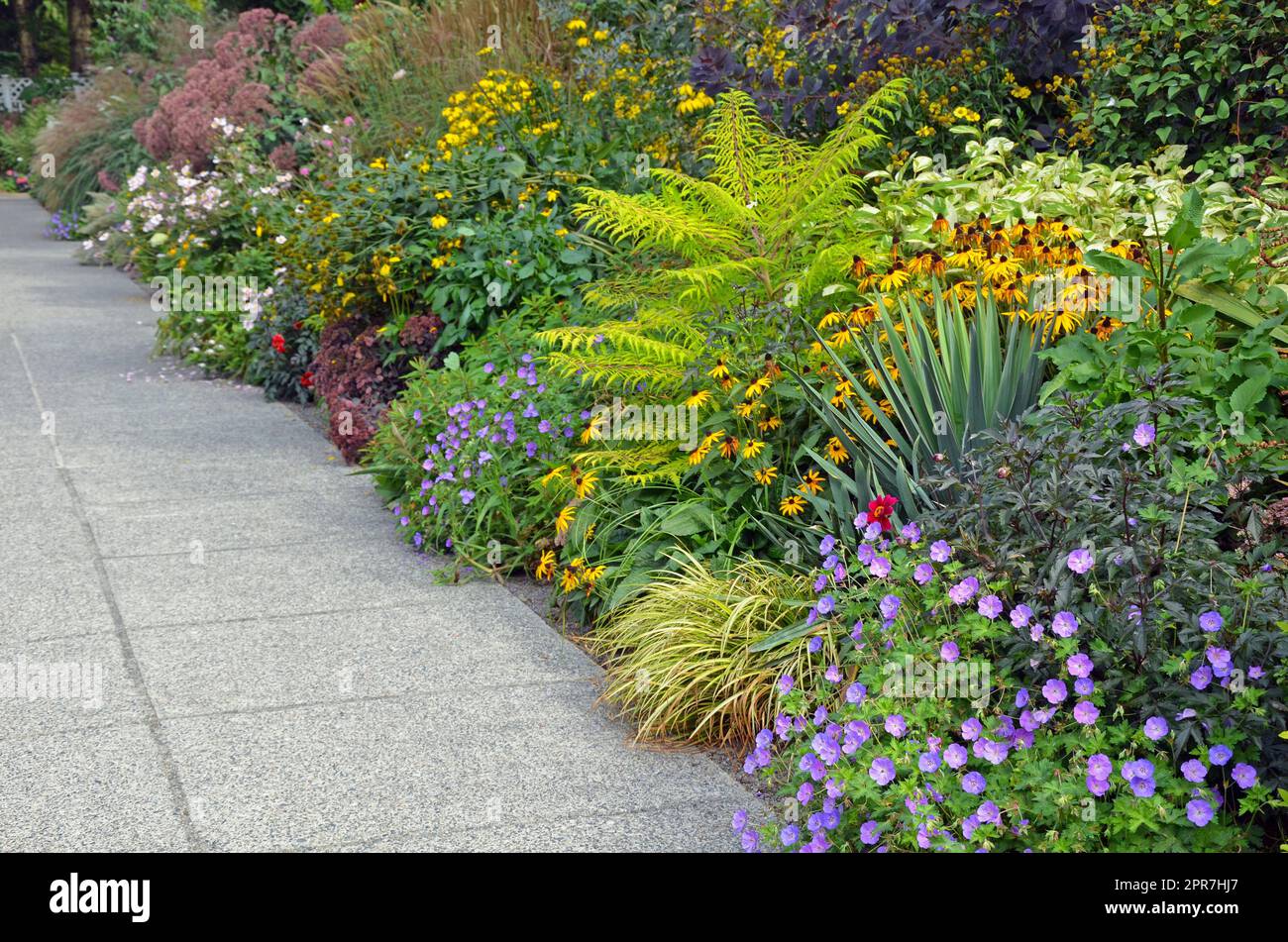 Colorful summer garden and walkway Stock Photo - Alamy
