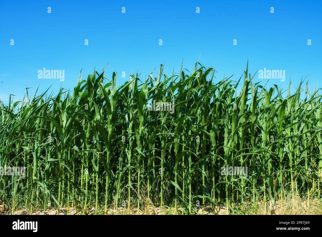 Rural lyon france hi-res stock photography and images - Alamy