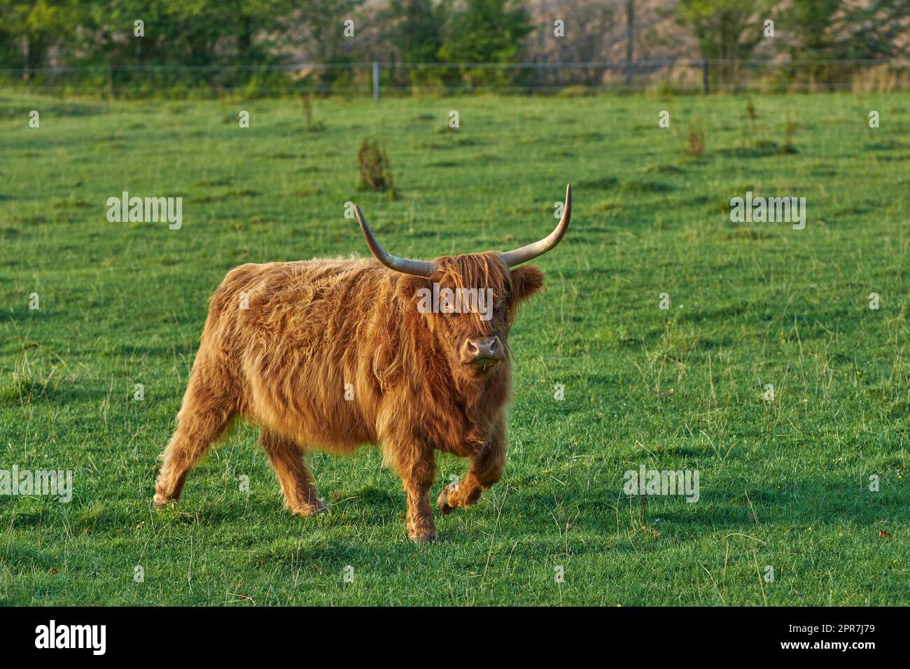Farm for breeding animals hi-res stock photography and images - Alamy