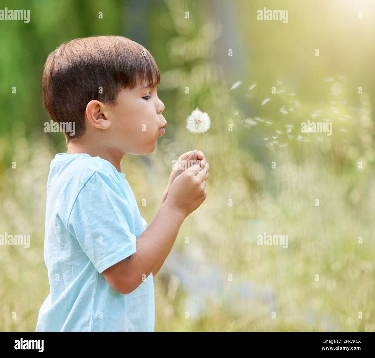 Boy blowing dandelion hi-res stock photography and images - Alamy
