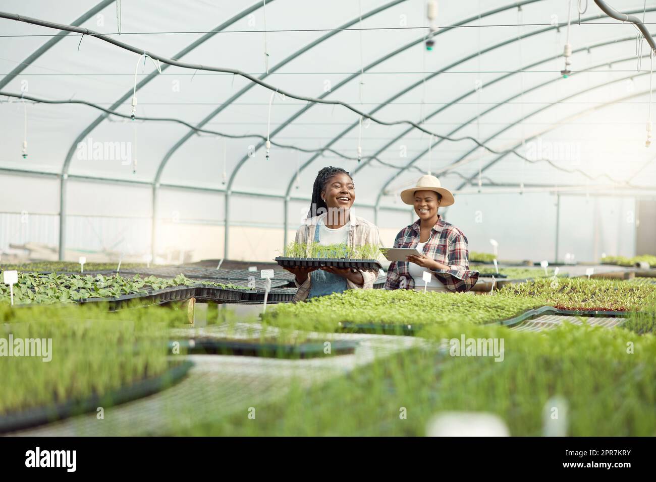 Colleagues collaborating plants hi-res stock photography and images - Alamy