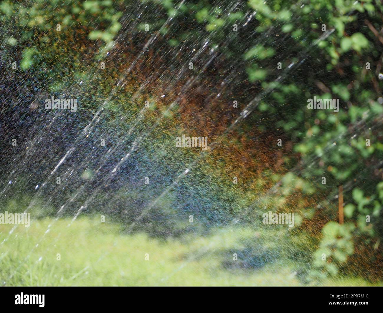 droplets of water by irrigation sprinkler device Stock Photo - Alamy