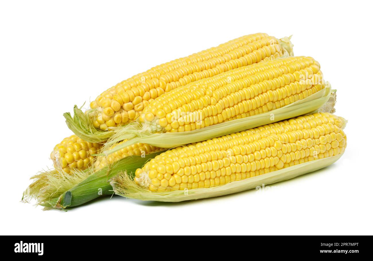Stack of corn cobs with yellow grains isolated on white background ...