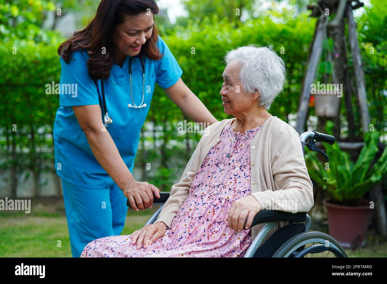 Doctor help Asian elderly woman disability patient sitting on ...