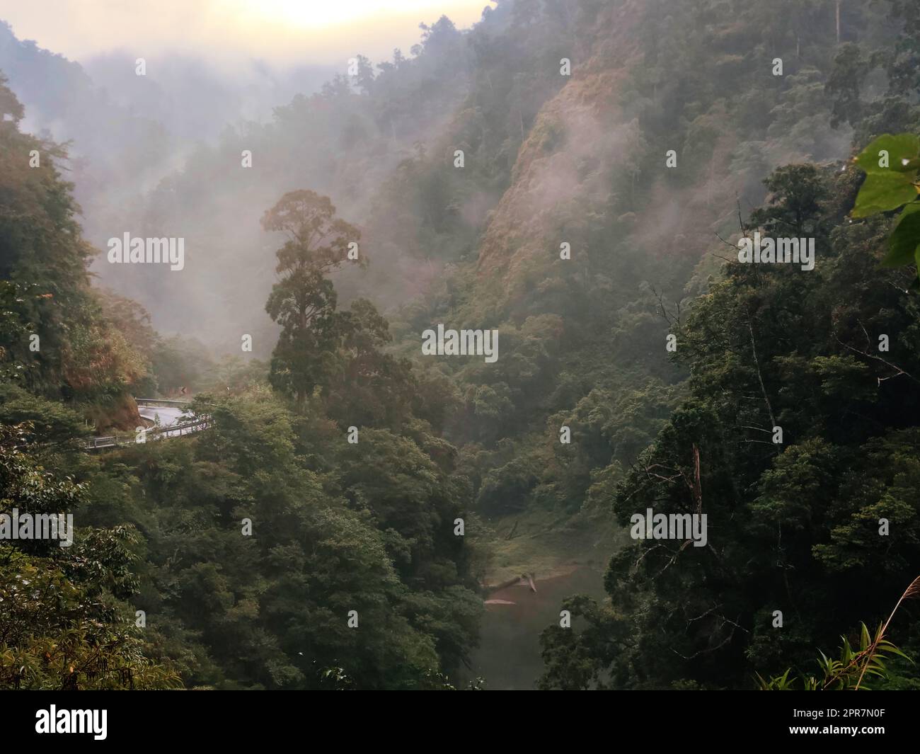 Beautiful Forest Highway, North Crossing Highway, Taiwan Stock Photo ...