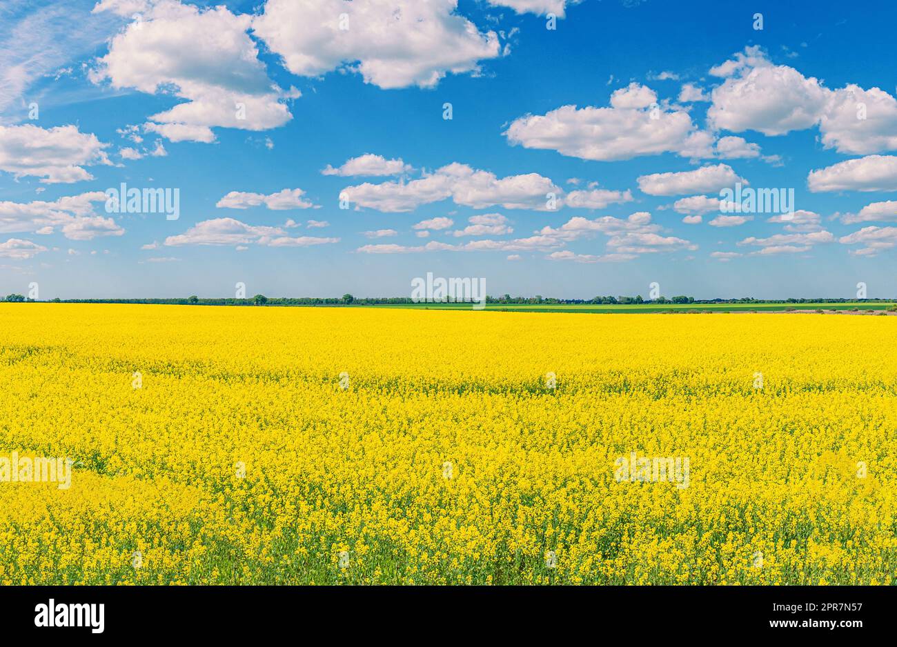 Yellow sky with clouds hi-res stock photography and images - Alamy