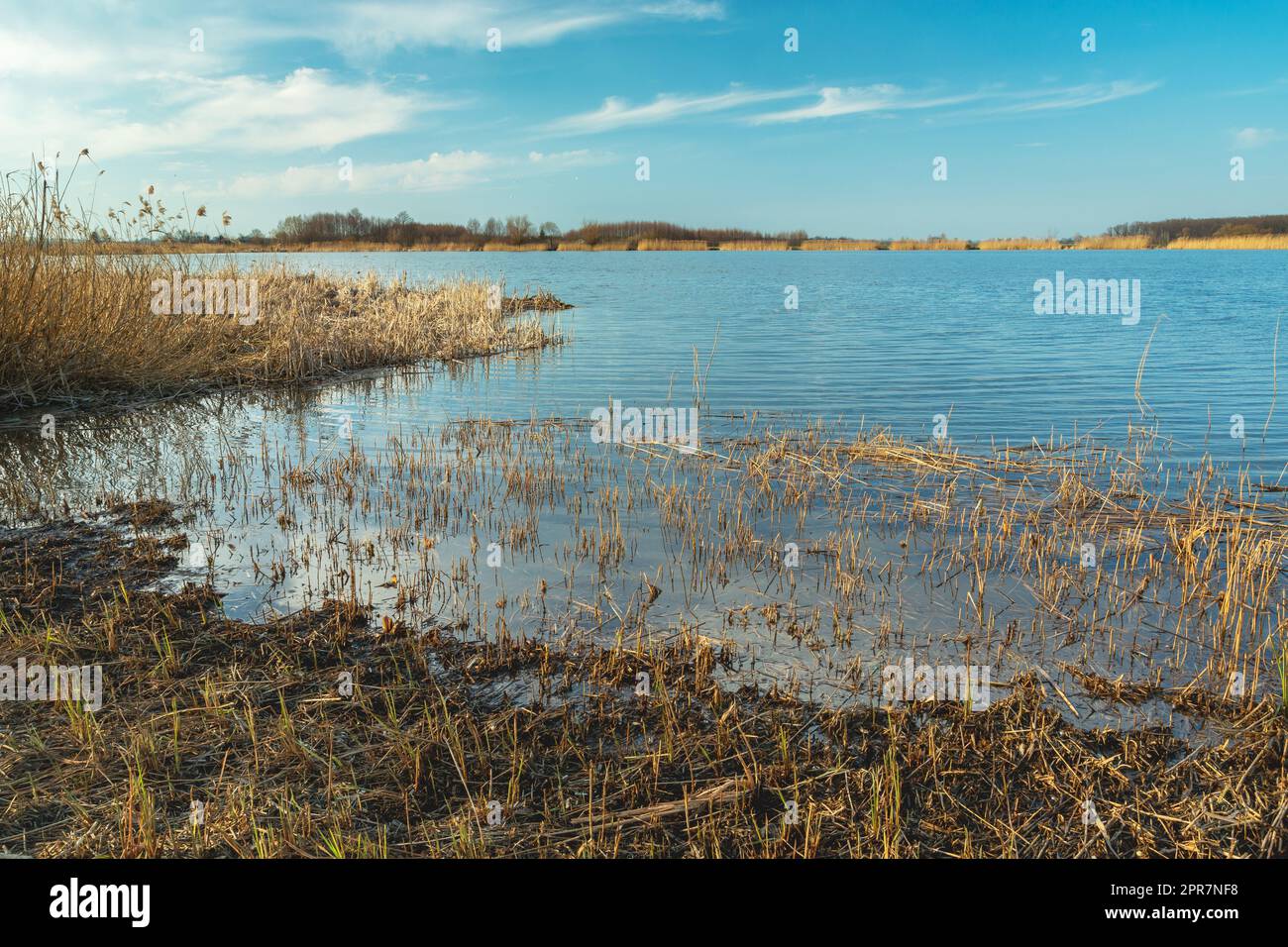 Beautiful autumn lake reeds on hi-res stock photography and images - Alamy