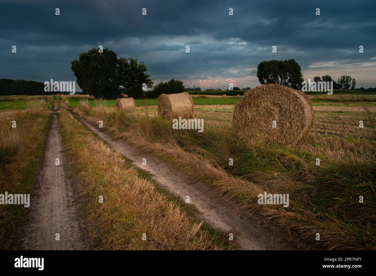 Country road next to a field with hay bales Stock Photo - Alamy
