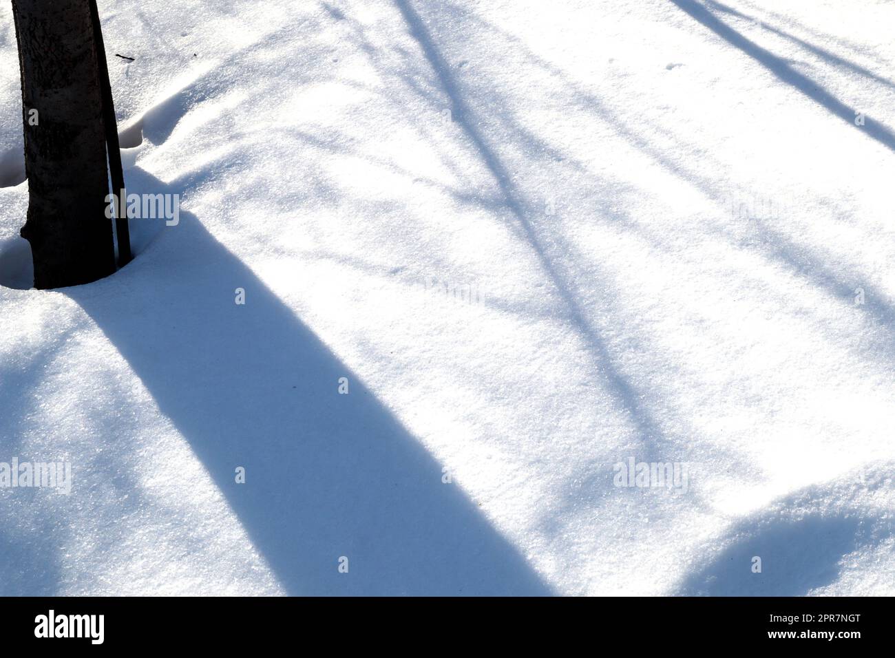 On a sunny winter day, natural shadows from trees form on the snow ...