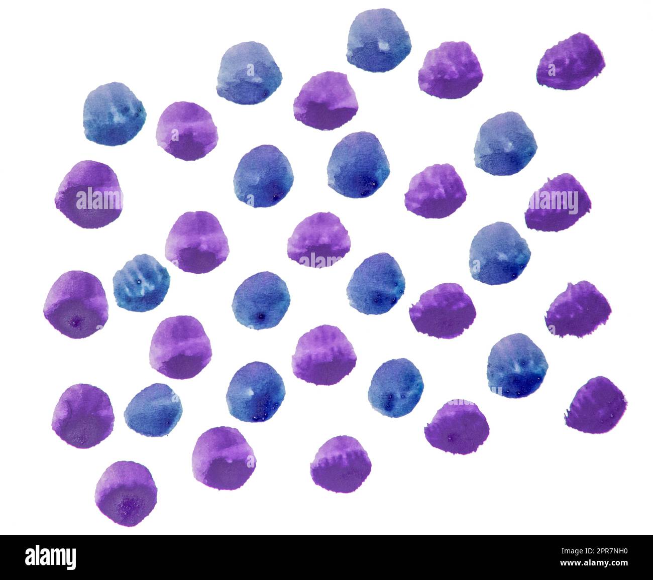 A lot of colorful watercolor spots of blue and purple on a white ...