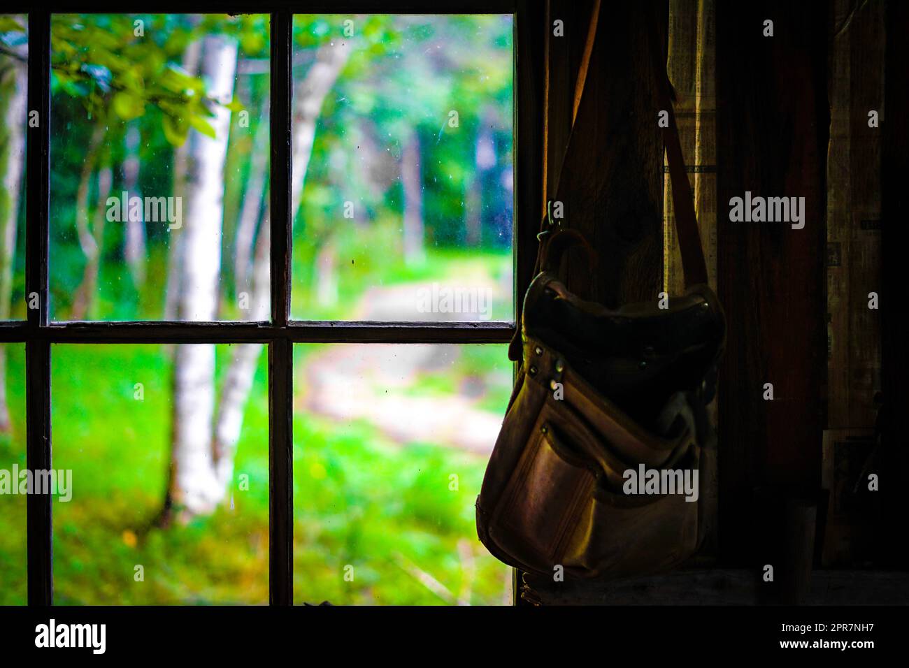New greenery seen from dark room Stock Photo - Alamy
