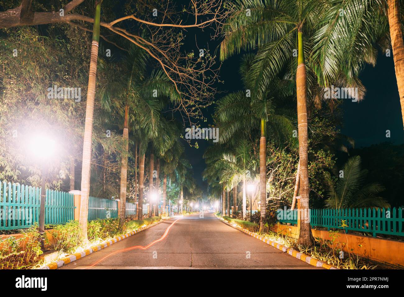 Goa, India. View Of Walkway With Palm Tree In Evening Or Night ...