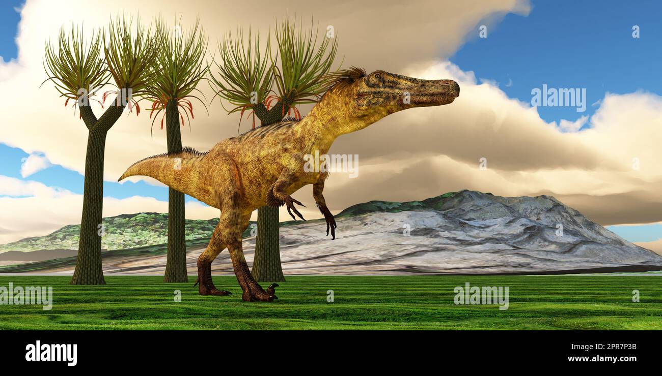Austroraptor was a carnivorous theropod dinosaur that lived in ...