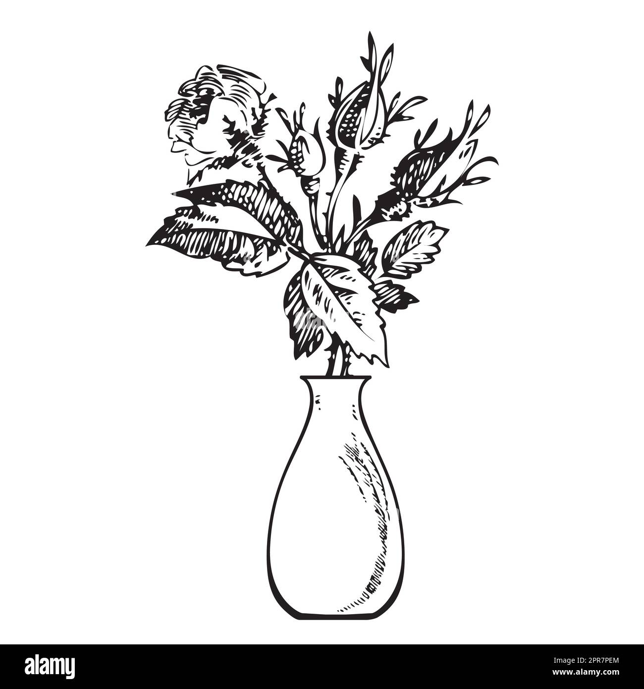 Hand drawn bouquet rose in vase. Flower, rosebud, branches, leaves ...