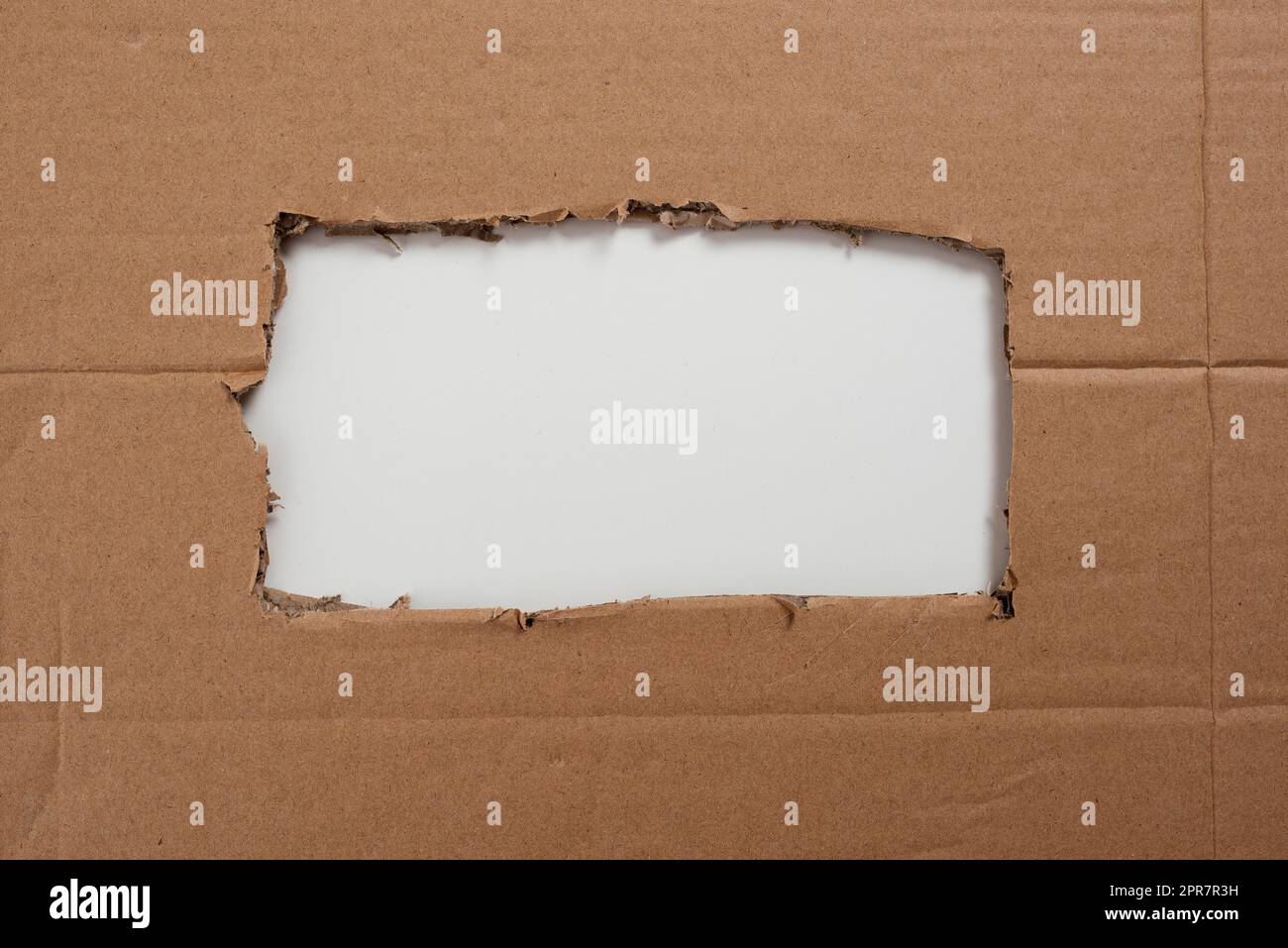 Important Informations Written Under Ripped Cardboard. Crutial ...