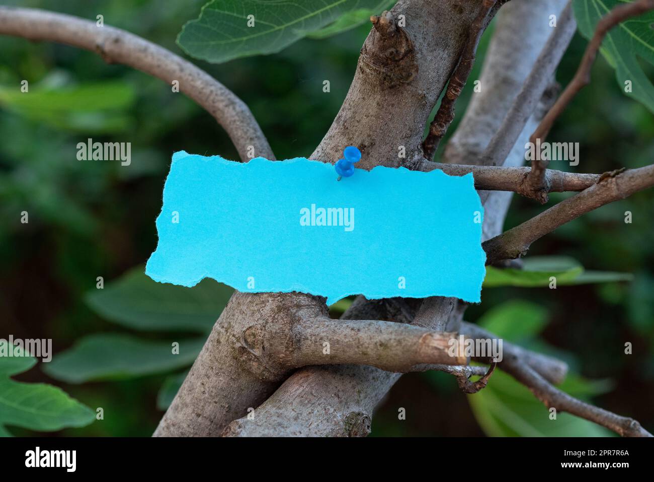 Abstract nature notation hi-res stock photography and images - Alamy