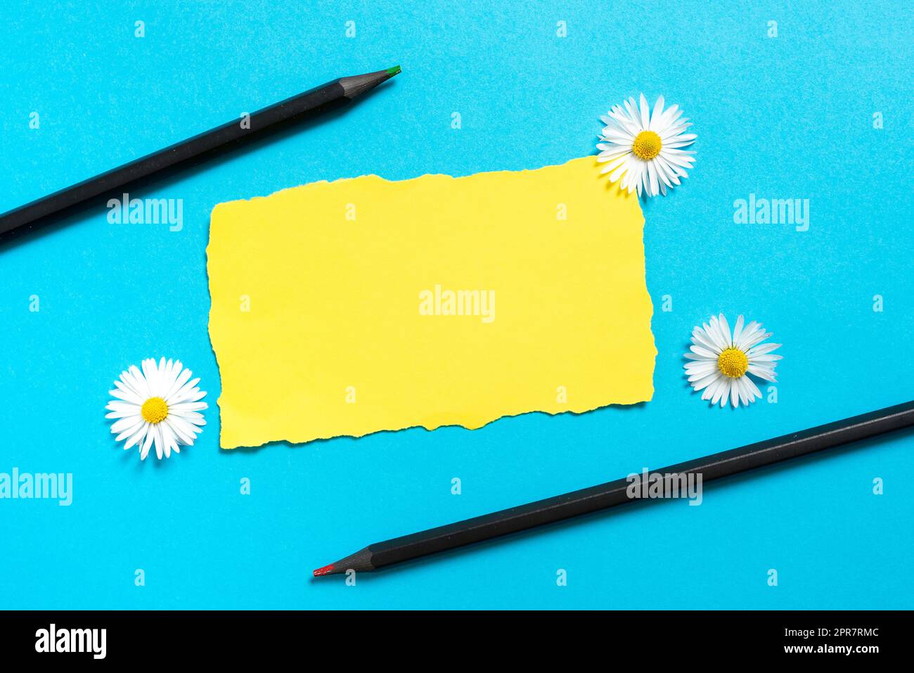 Ripper Piece Of Paper With Important Message With Pencils And Flowers ...