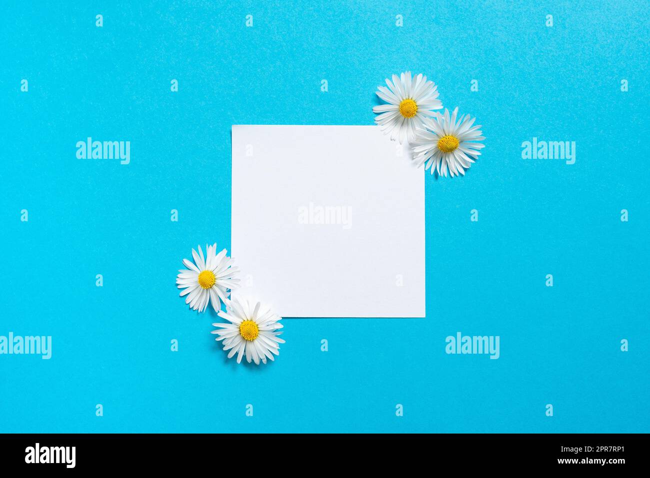 Sticky Note With Important Messages With Flowers On Both Sides. Memo ...