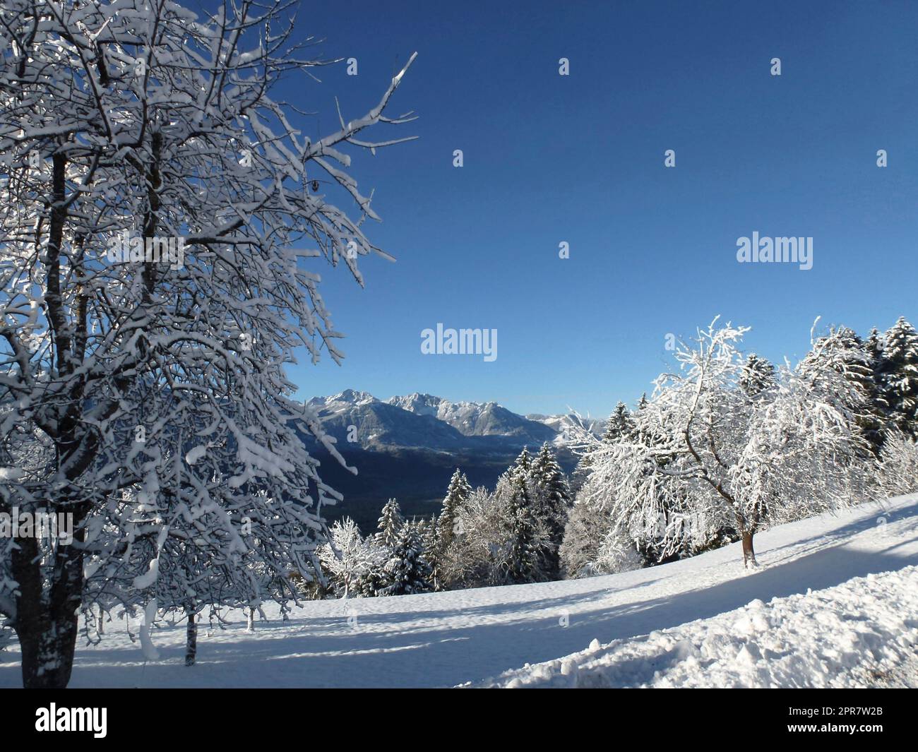 Winter hiking tour to Hoher Frassen mountain, Raggal, Austria Stock ...