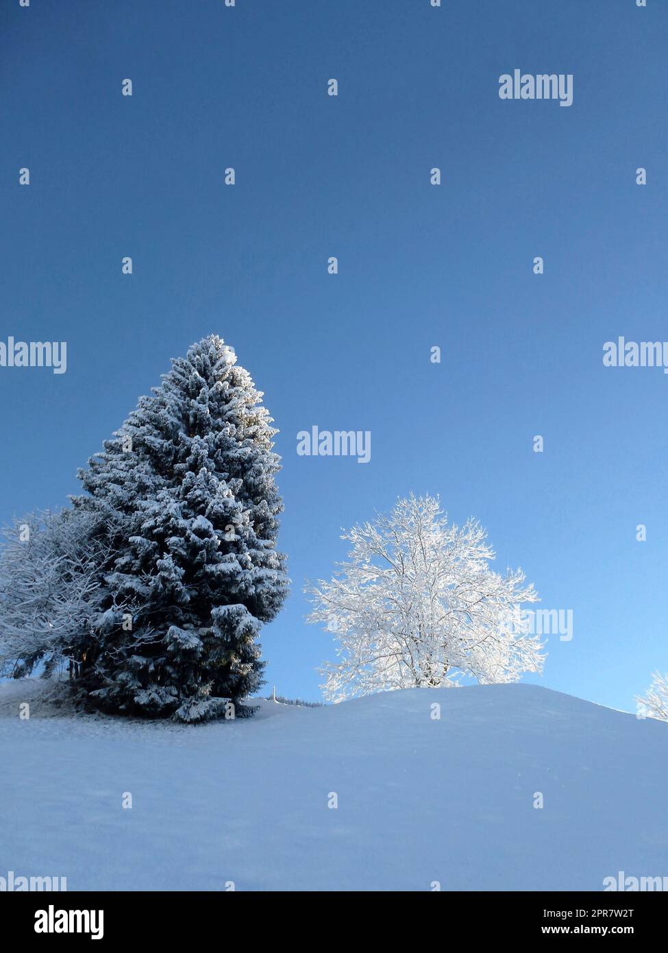 Winter hiking tour to Hoher Frassen mountain, Raggal, Austria Stock ...