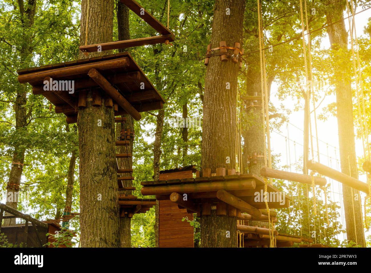 Rope park among the trees with sunlight Stock Photo - Alamy
