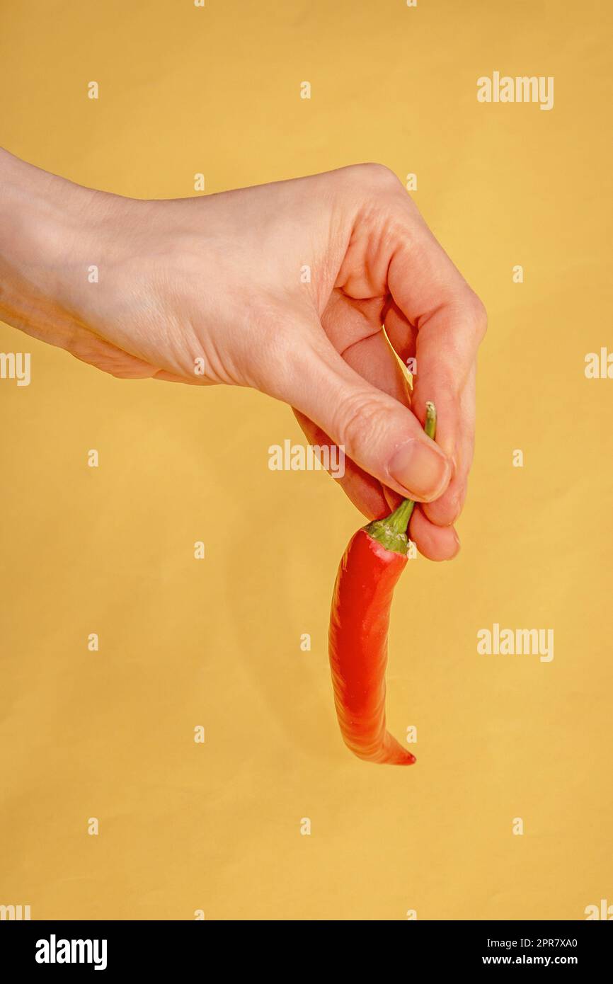 Female hand holding red chili pepper Stock Photo - Alamy